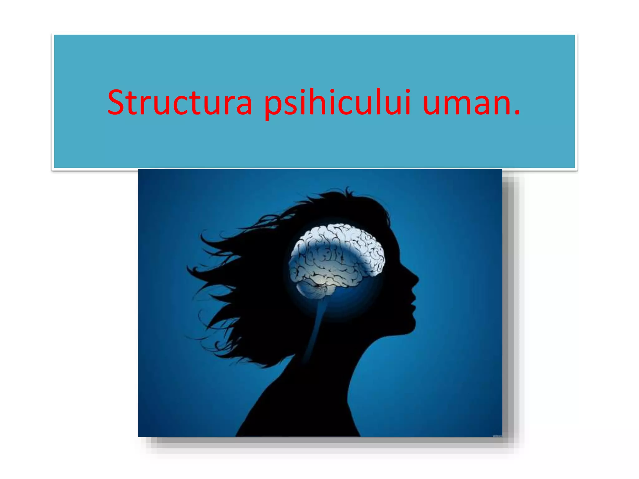 Structura psihicului uman.pptx