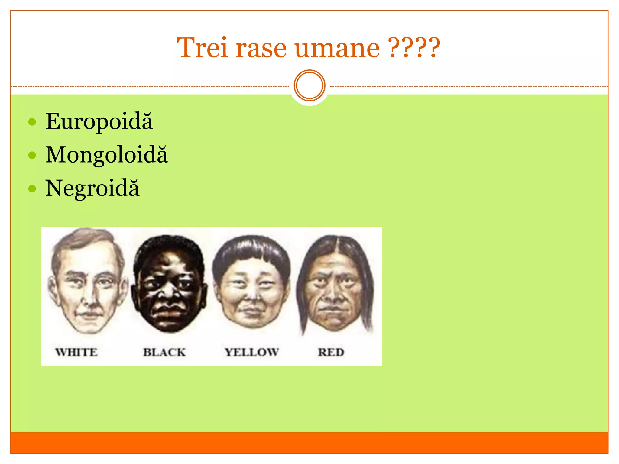 Structura rasiala a populației terrei | PPTX