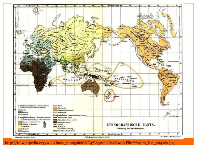 Structura rasiala a populației terrei | PPTX