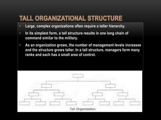 Organizational Structure | PPTX
