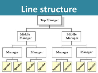 Organizational Structure | PPTX