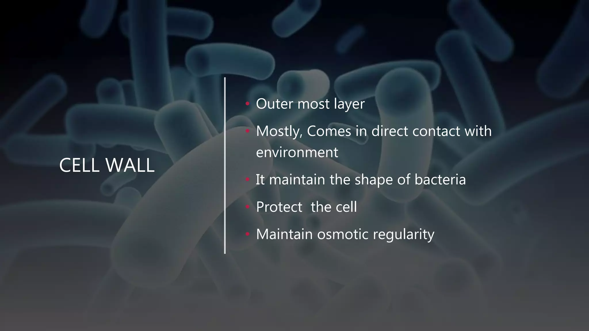 Structure of Bacterial cell wall | PPTX