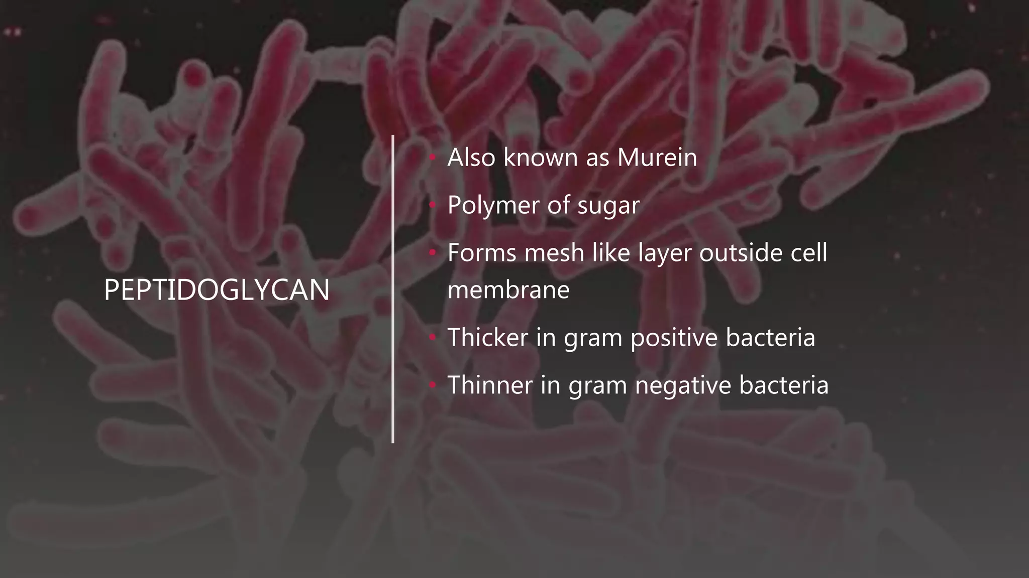 Structure of Bacterial cell wall | PPTX