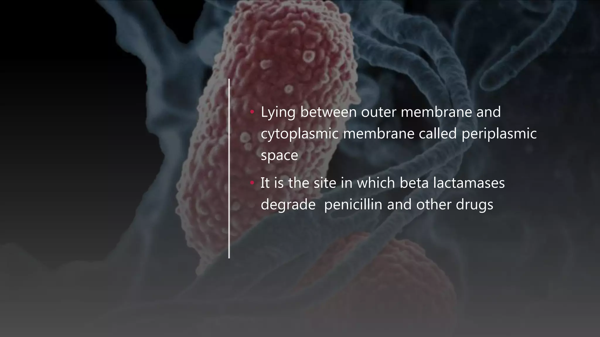 Structure of Bacterial cell wall | PPTX