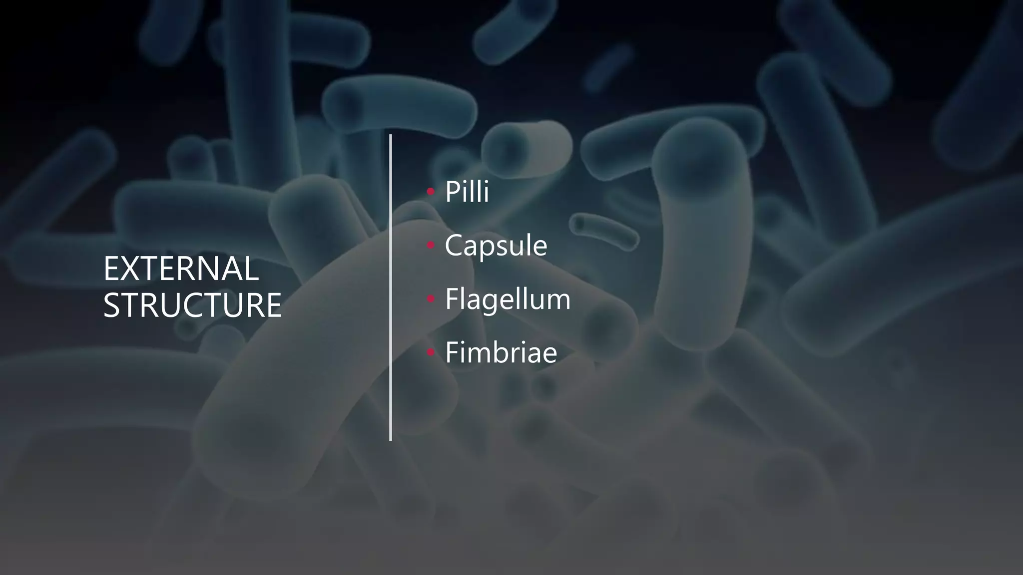 Structure of Bacterial cell wall | PPTX