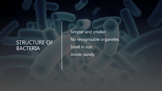 Structure of Bacterial cell wall | PPTX