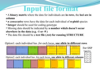 population structure software: detailed analysis method | PPT