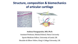 Structure & biomechns of articular cartilage | PDF