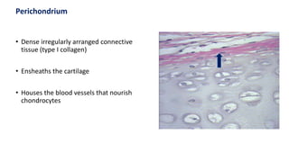 Structure & biomechns of articular cartilage | PDF