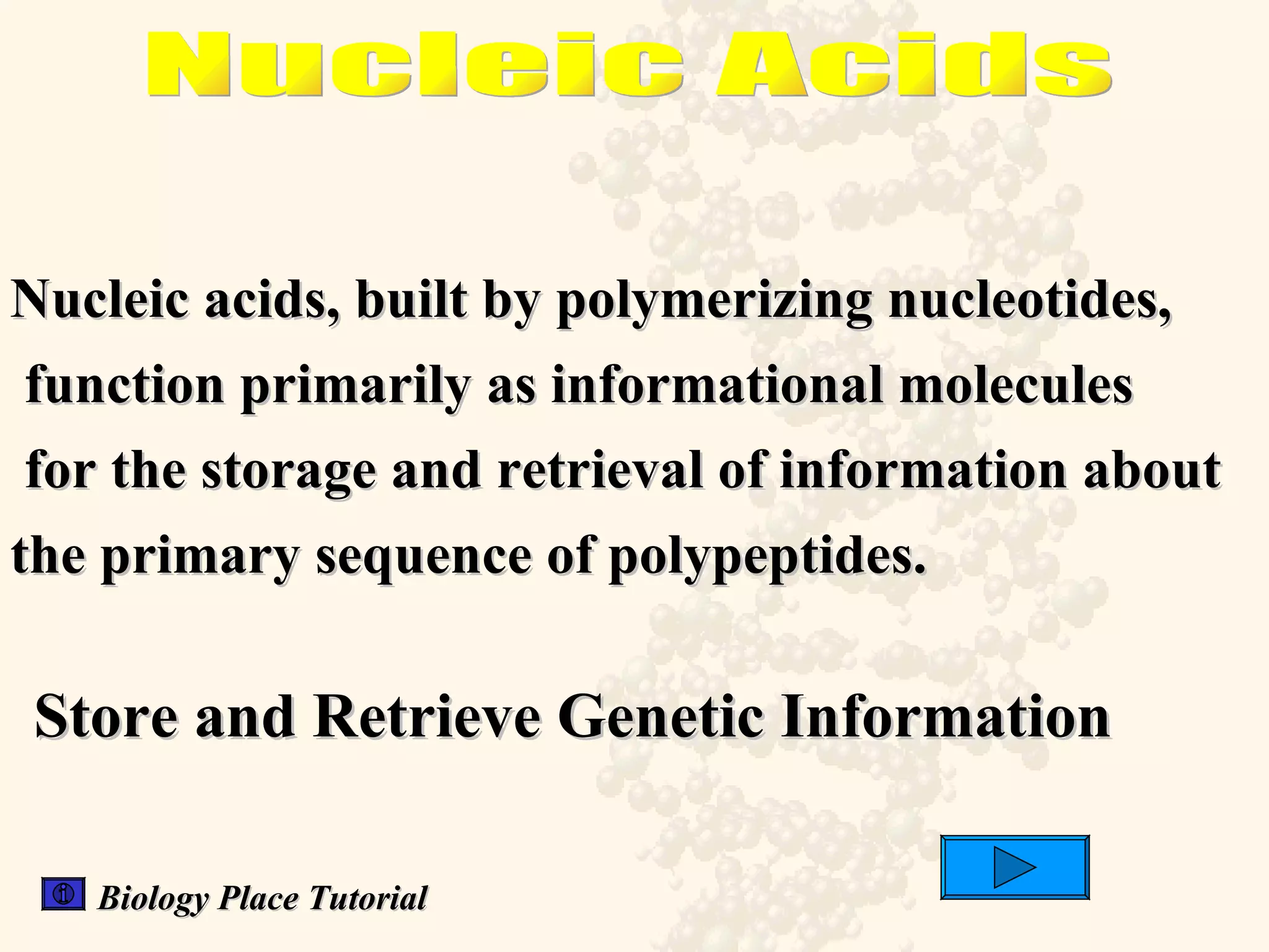 Structure and Function of Nucleic Acids | PPT