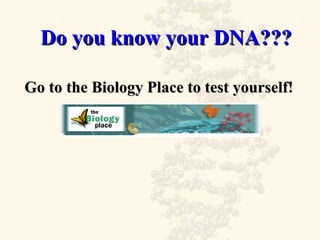 Structure and Function of Nucleic Acids | PPT