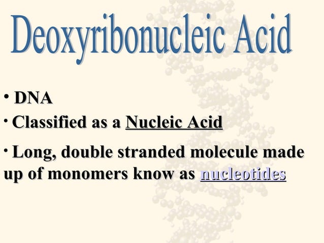 Structure and Function of Nucleic Acids | PPT | Chemistry | Science