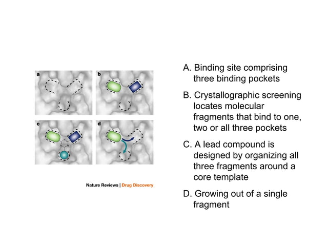 Structure based drug design | PPT