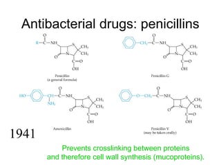 Structure based drug design | PPT