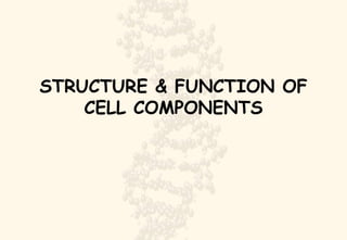 Structure Cell Components | PPT