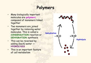 Structure Cell Components | PPT