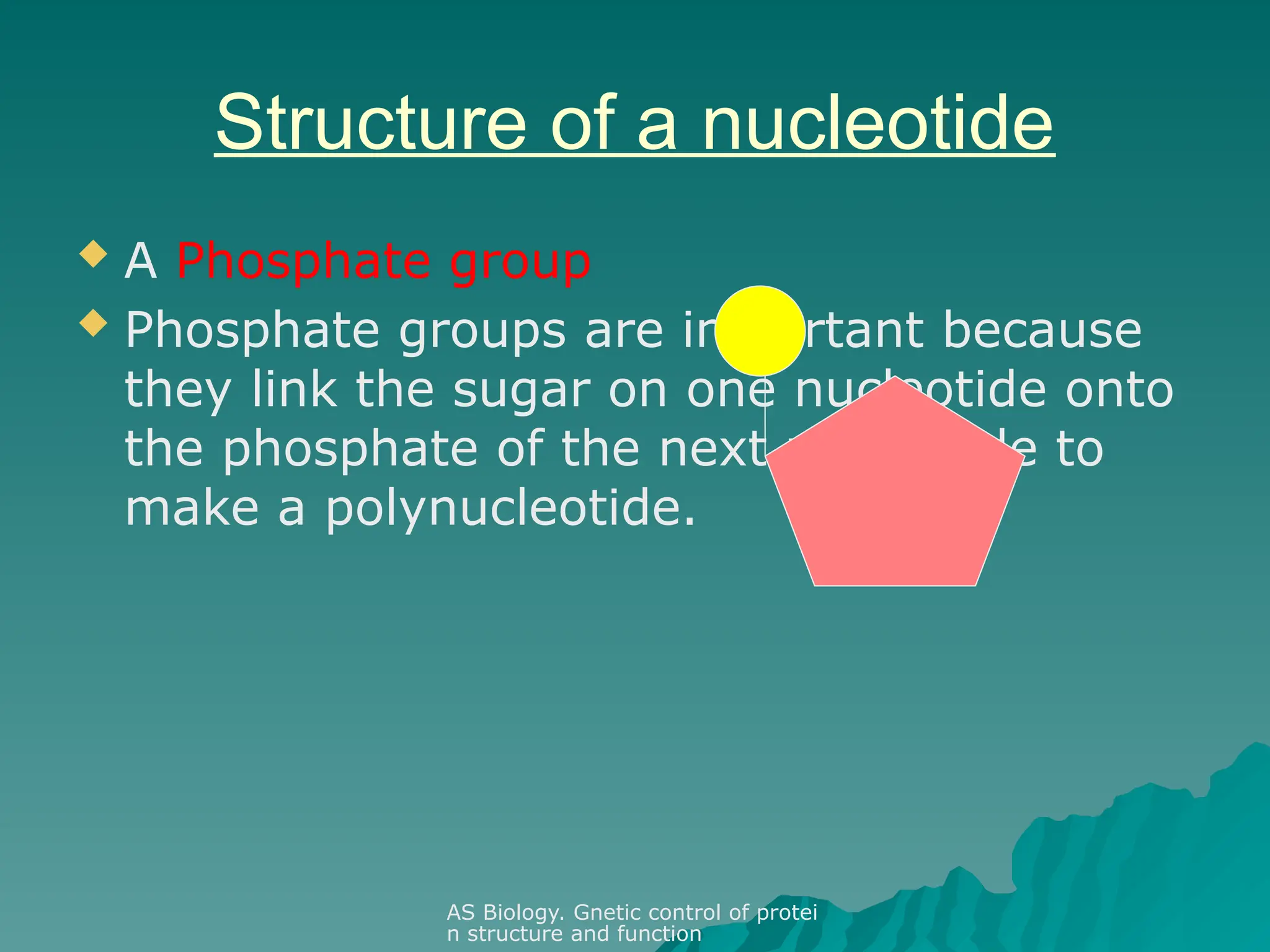DNA Structure and Function: The Double Helix Model and Its Role in ...