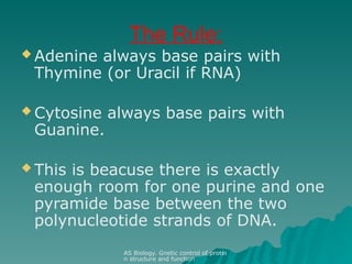 DNA Structure and Function: The Double Helix Model and Its Role in ...