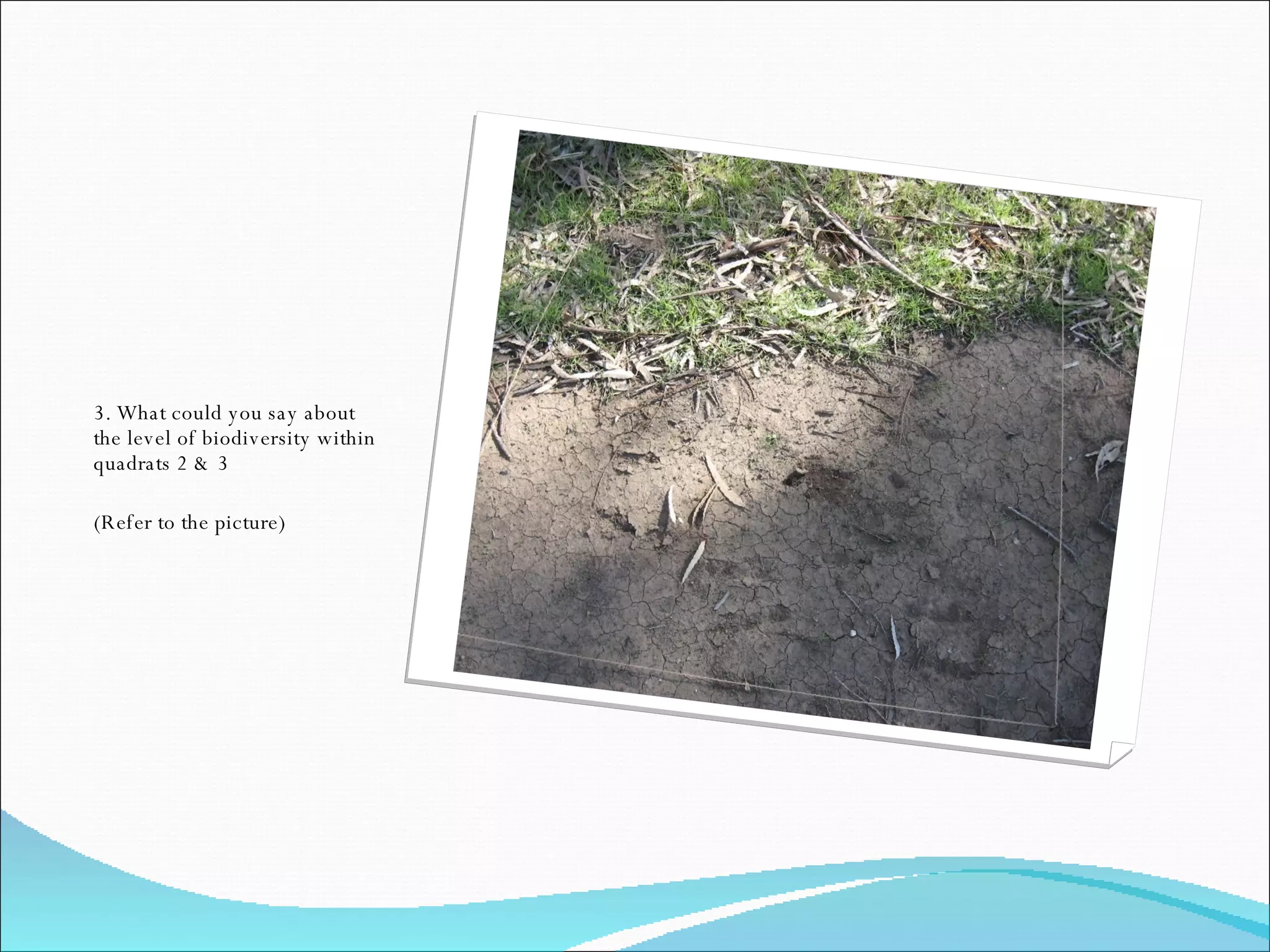 Structure Of An Ecosystem | PPT