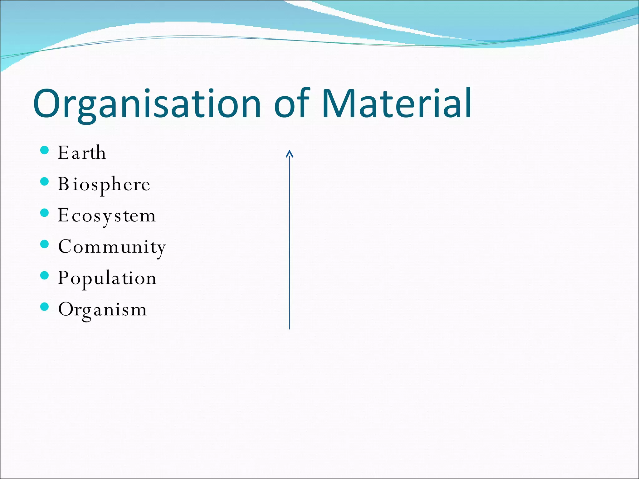Structure Of An Ecosystem | PPT