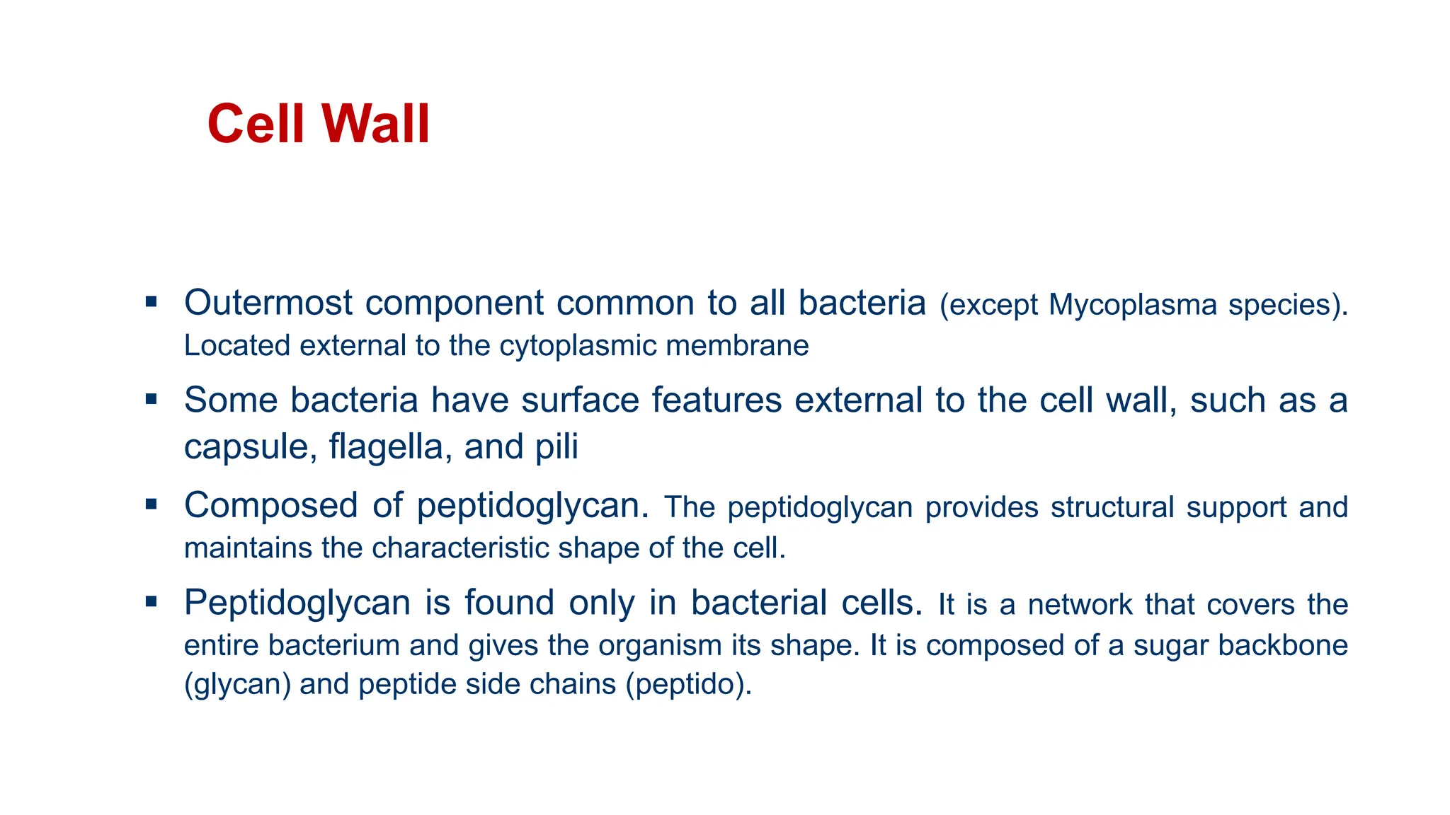 Structure-of-Bacterial-cell.pdf microbiology | PDF