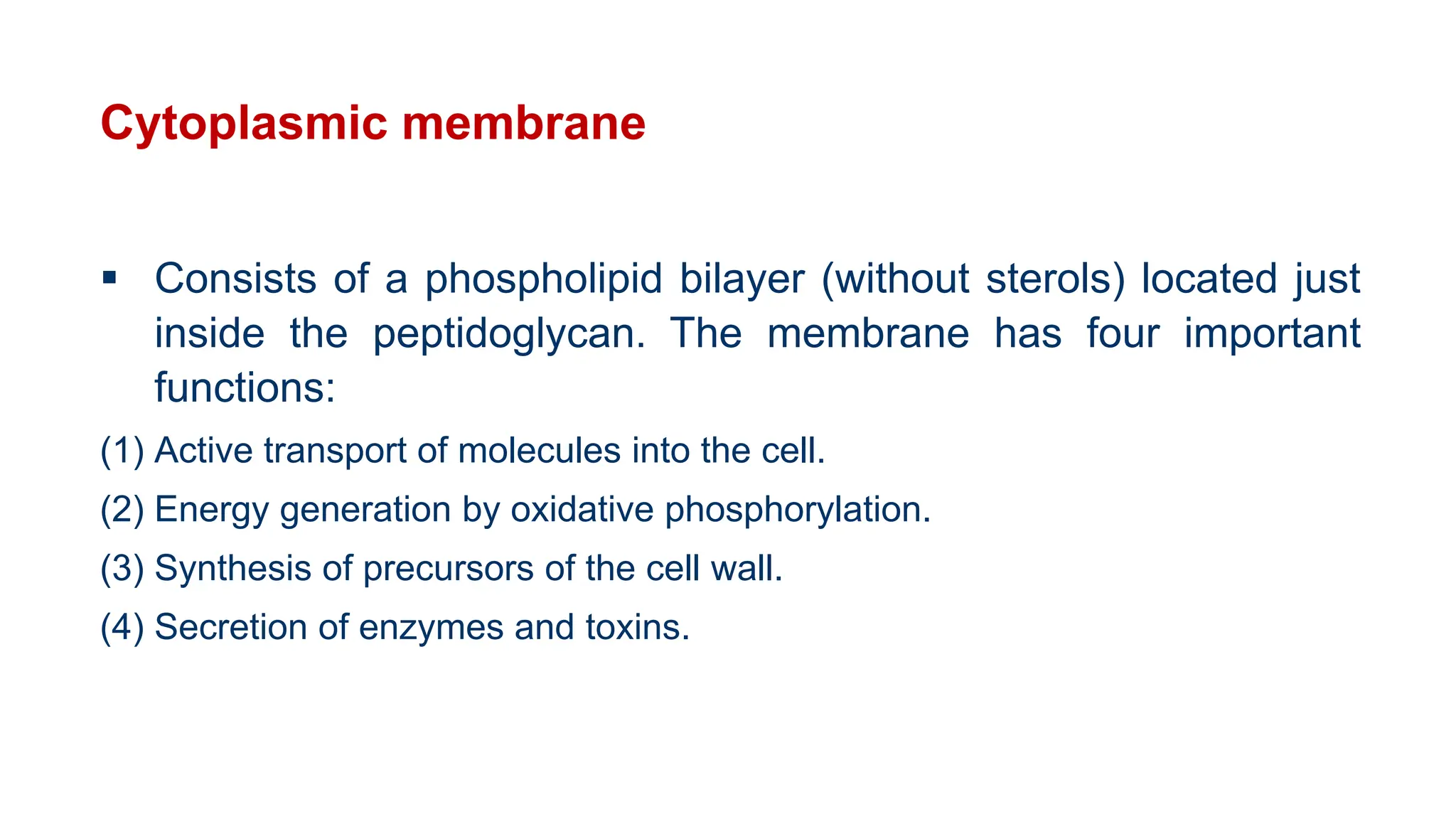 Structure-of-Bacterial-cell.pdf microbiology | PDF