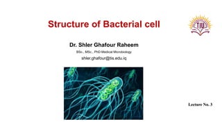 Structure-of-Bacterial-cell.pdf microbiology | PDF