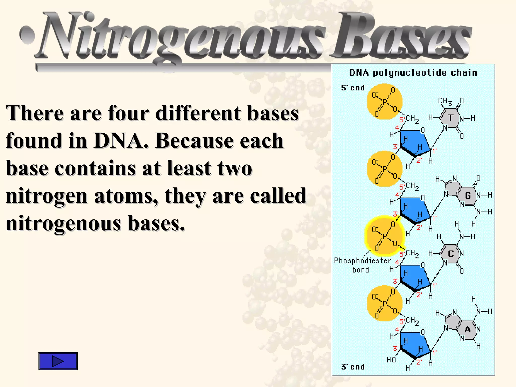Structure of DNA | PPT