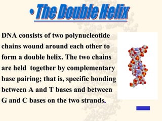 Structure of DNA | PPT