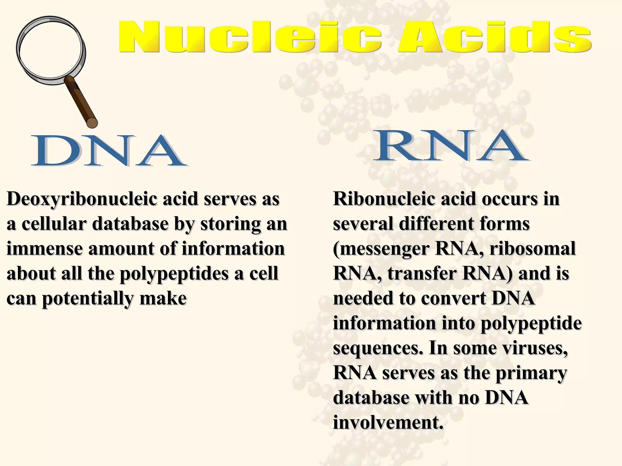 Structure Of Dna | PPT | Chemistry | Science