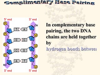 Structure Of Dna | PPT | Chemistry | Science