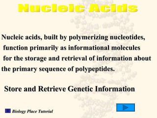 Structure Of Dna | PPT | Chemistry | Science