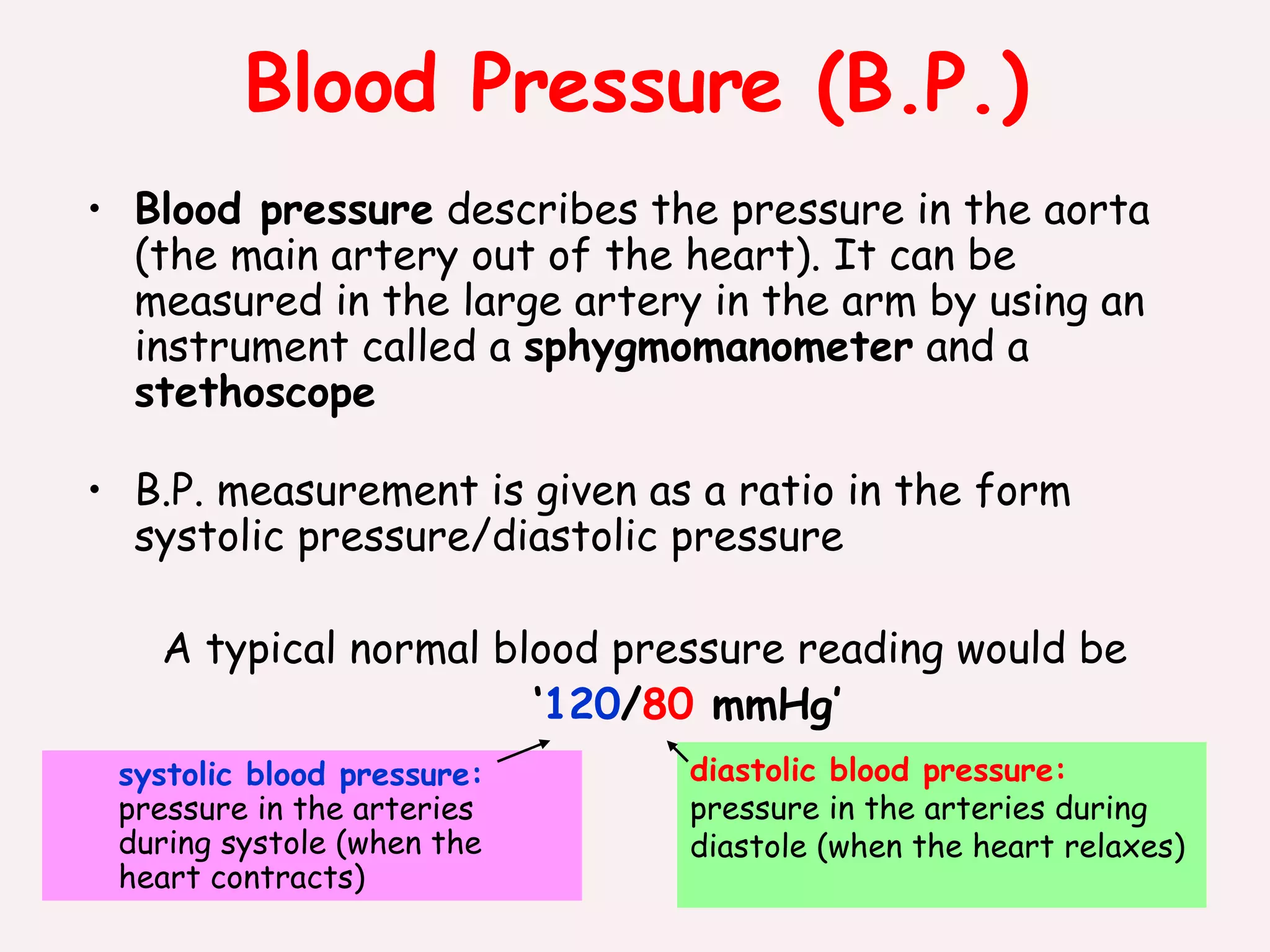Structure of the CVS | PPT