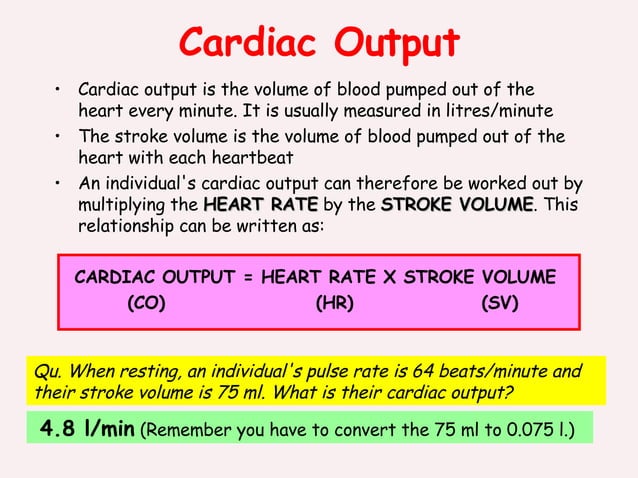 Structure of the CVS | PPT
