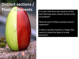 Structure - By Mrs Hallahan | PPTX