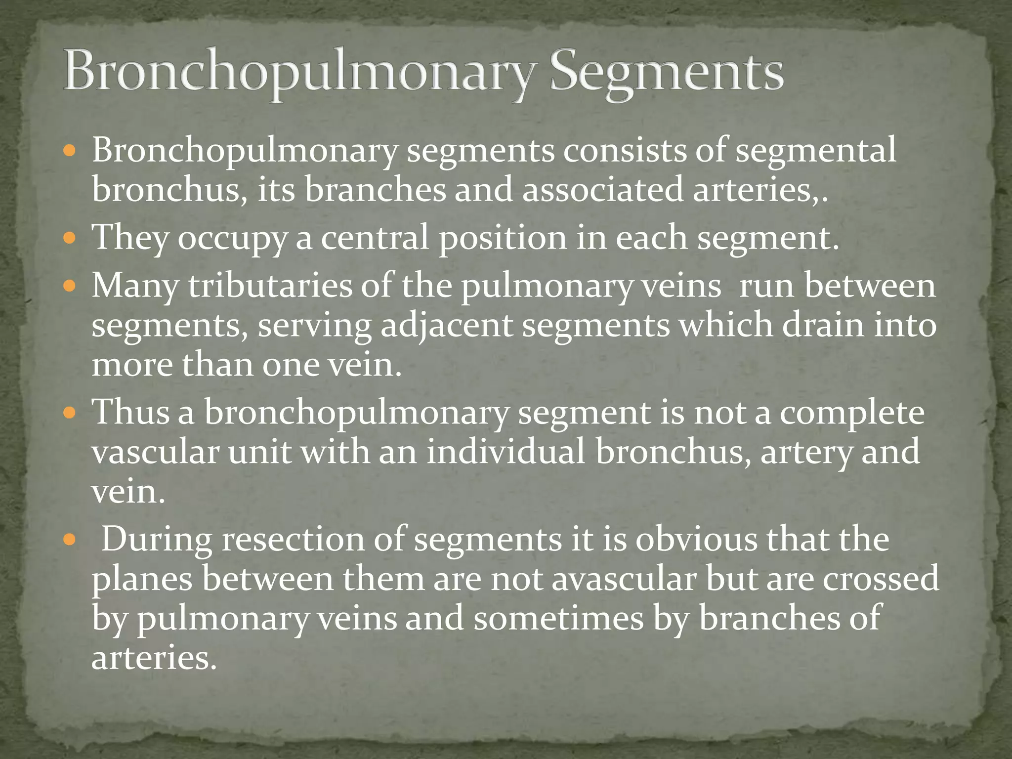 Structure and anatomy of respiratory system | PPTX
