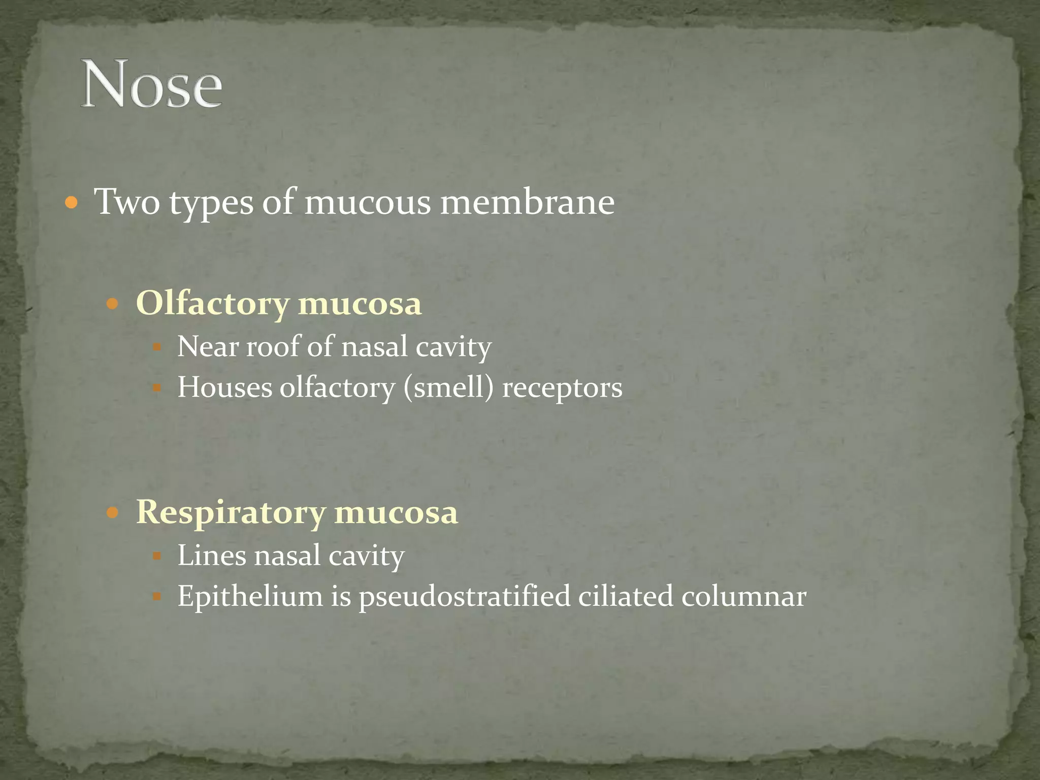 Structure and anatomy of respiratory system | PPTX