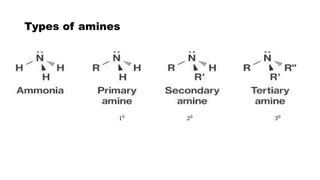 Structure and basicity of amines | PPTX