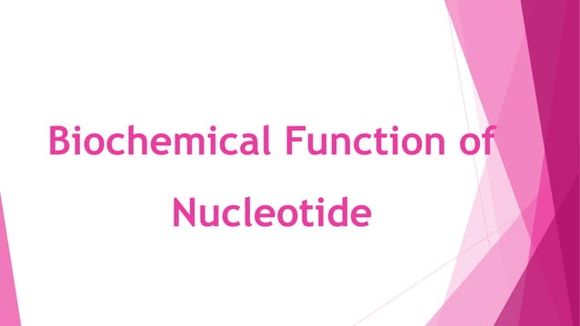 Structure and biochemical function function of nucleotide | PPT