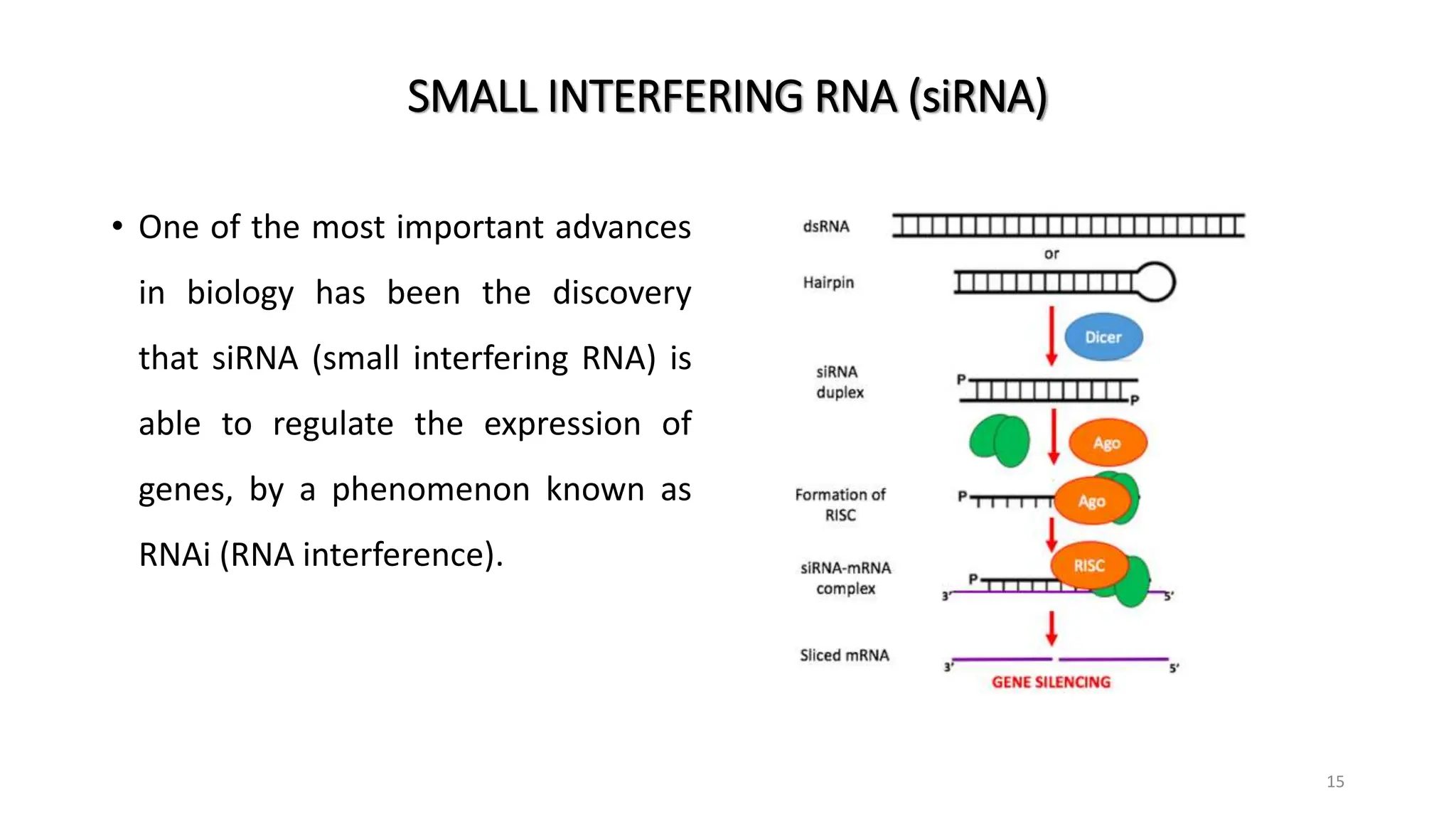 STRUCTURE AND BIOLOGICAL ROLES OF RNAs .pptx