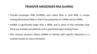 STRUCTURE AND BIOLOGICAL ROLES OF RNAs .pptx