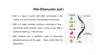 STRUCTURE AND BIOLOGICAL ROLES OF RNAs .pptx