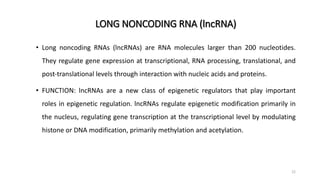 STRUCTURE AND BIOLOGICAL ROLES OF RNAs .pptx