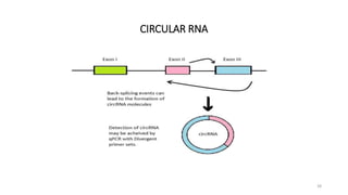 STRUCTURE AND BIOLOGICAL ROLES OF RNAs .pptx