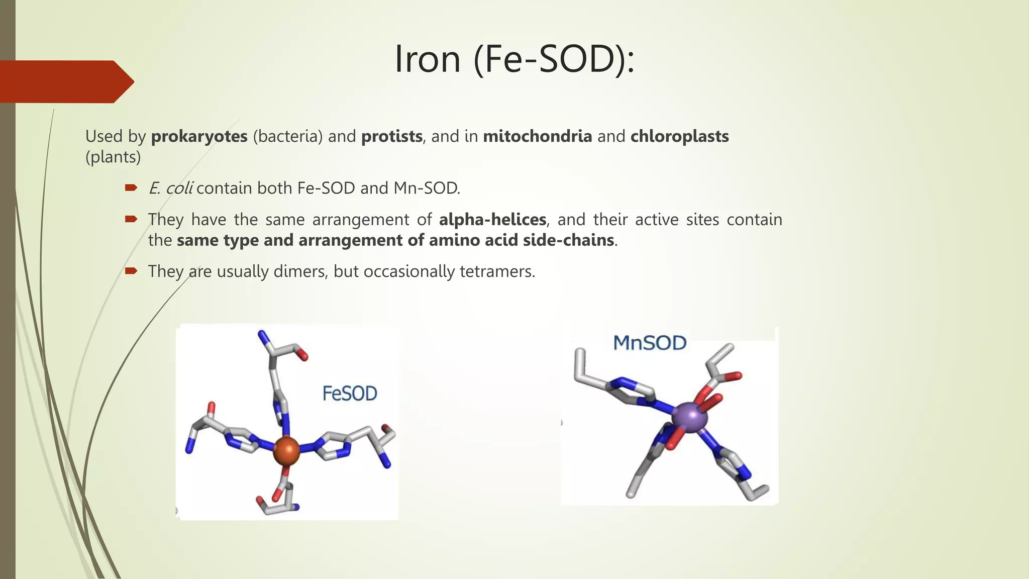 Structure and Catalytic Function of Superoxide Dismutase.pptx