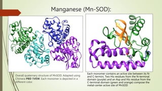 Structure and Catalytic Function of Superoxide Dismutase.pptx