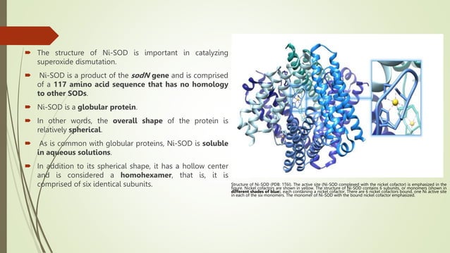 Structure and Catalytic Function of Superoxide Dismutase.pptx