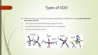 Structure and Catalytic Function of Superoxide Dismutase.pptx