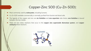 Structure and Catalytic Function of Superoxide Dismutase.pptx