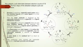 Structure and Catalytic Function of Superoxide Dismutase.pptx